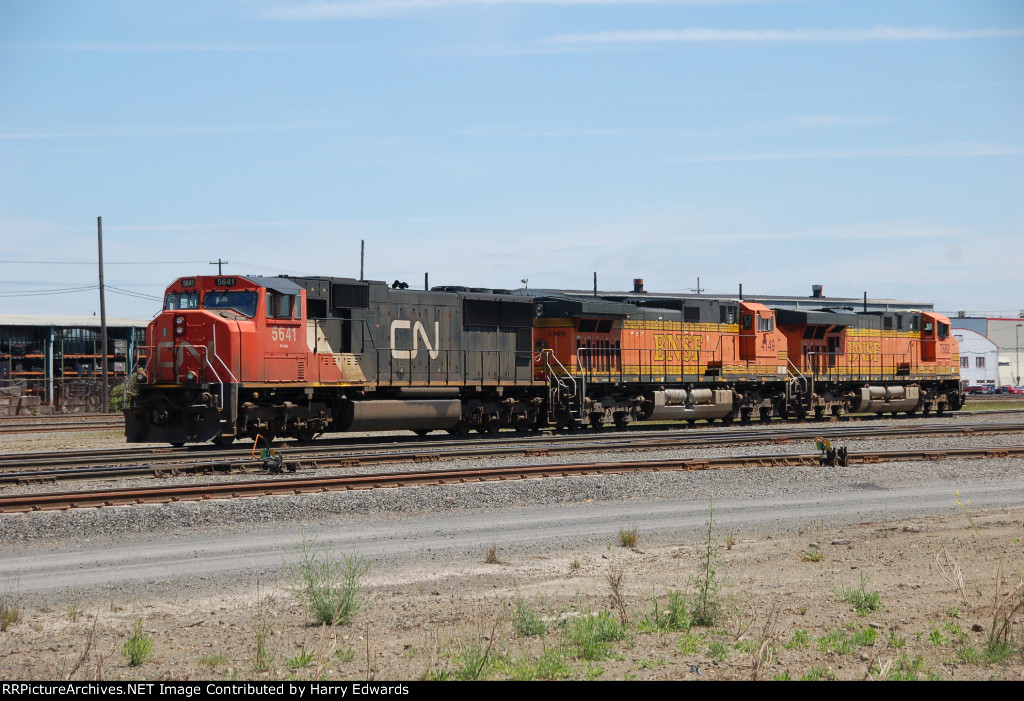 Canadian National Locomotive with BNSF